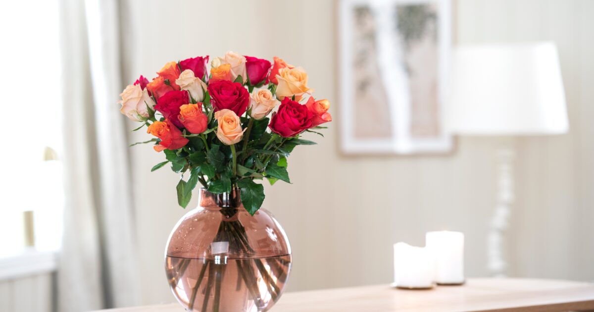 Stell av roser – slik tar du vare på dem | Interflora