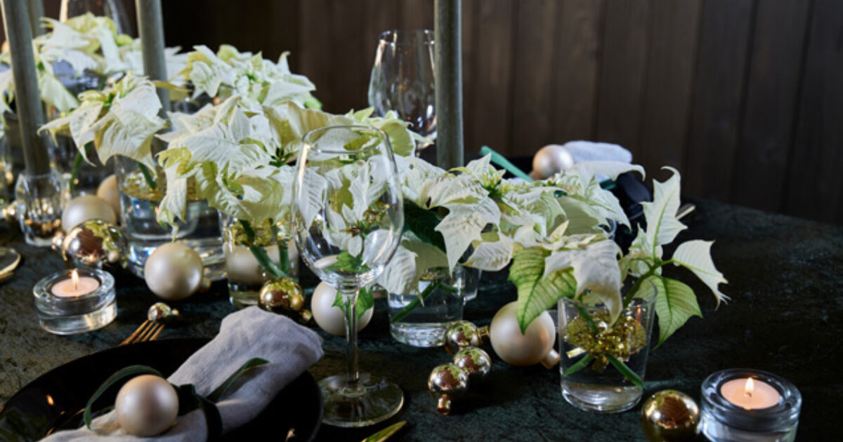 Pynt et romjulsbord med hvite julestjerner | Interflora